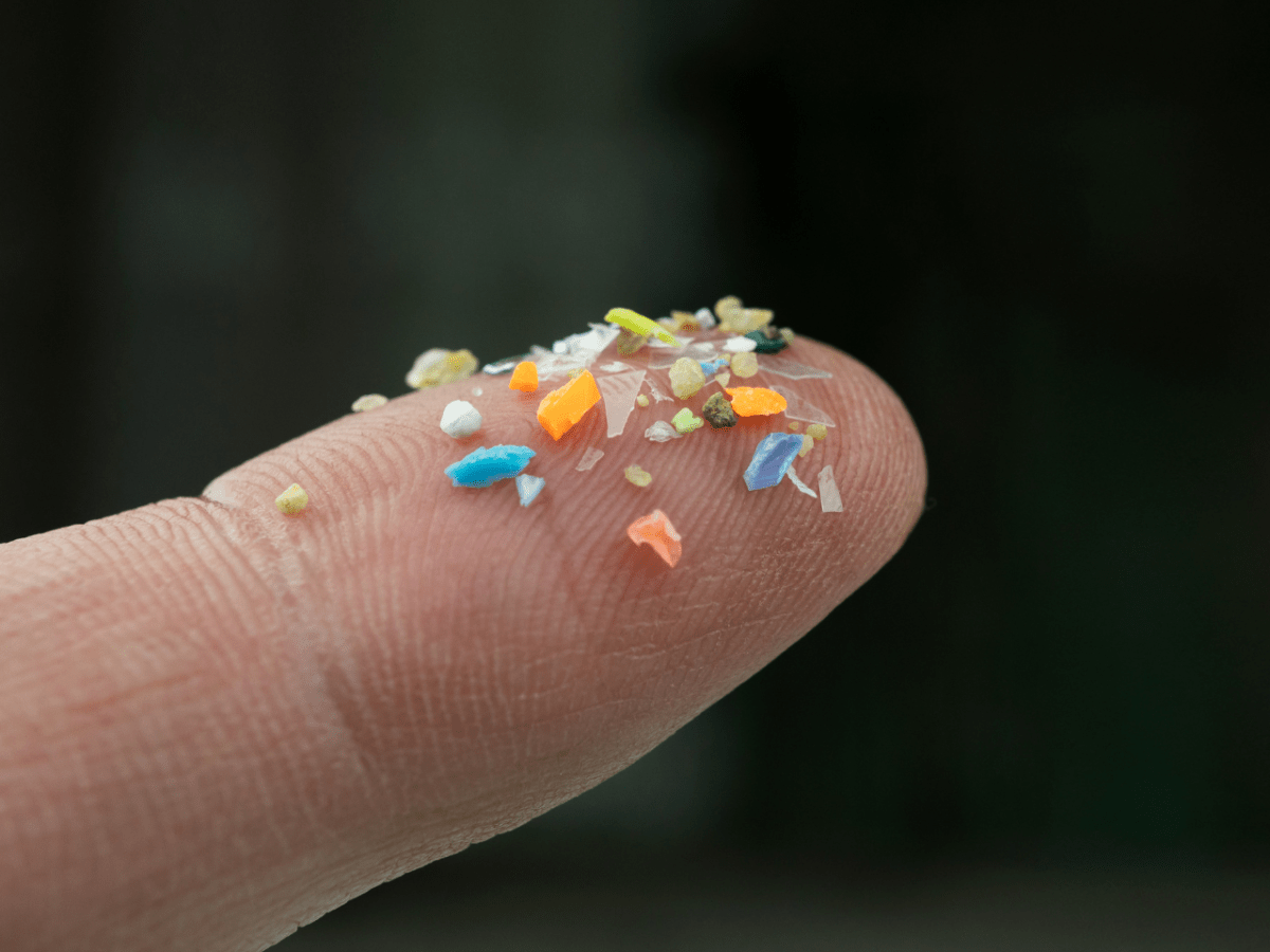 Bisphenol A: What is it, its health effects and should we avoid it ...